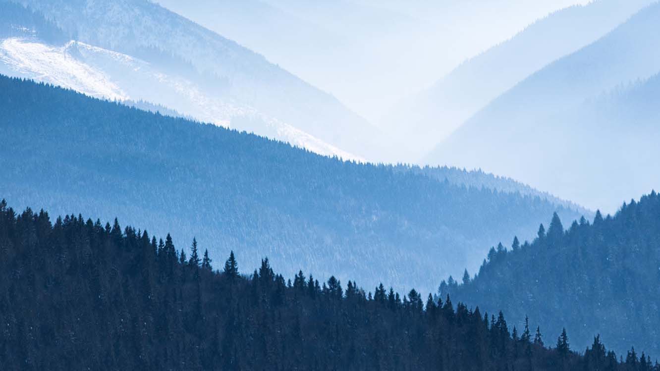 Evli launches new Private Equity fund to meet growing